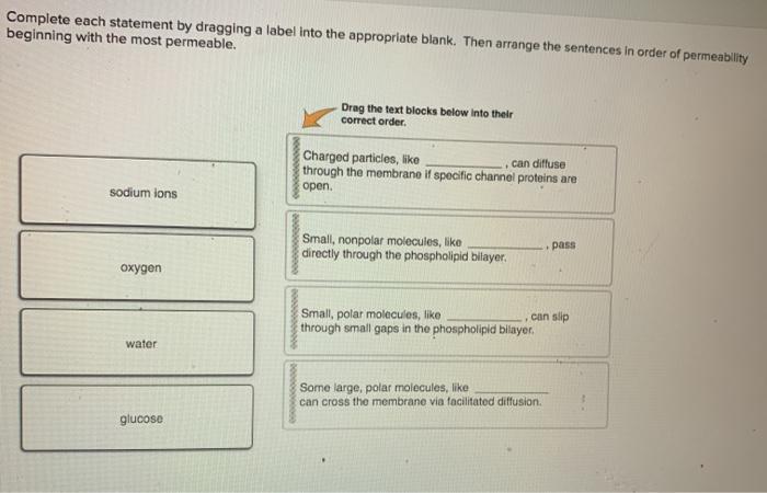 Solved Complete each statement by dragging a label into the | Chegg.com