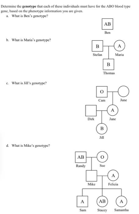 Solved Determine the genotype that each of these individuals | Chegg.com