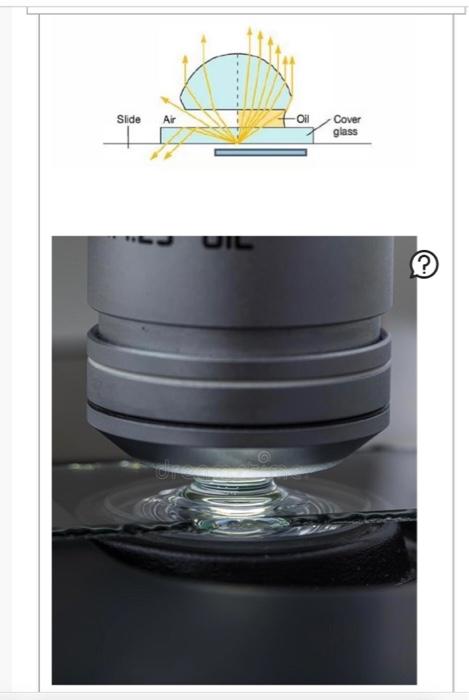 Solved Take a look at the images above to see how oil | Chegg.com