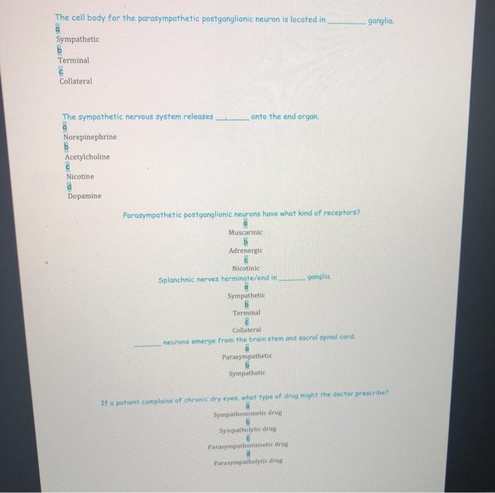 Solved The cell body for the parasympathetic postganglionic | Chegg.com