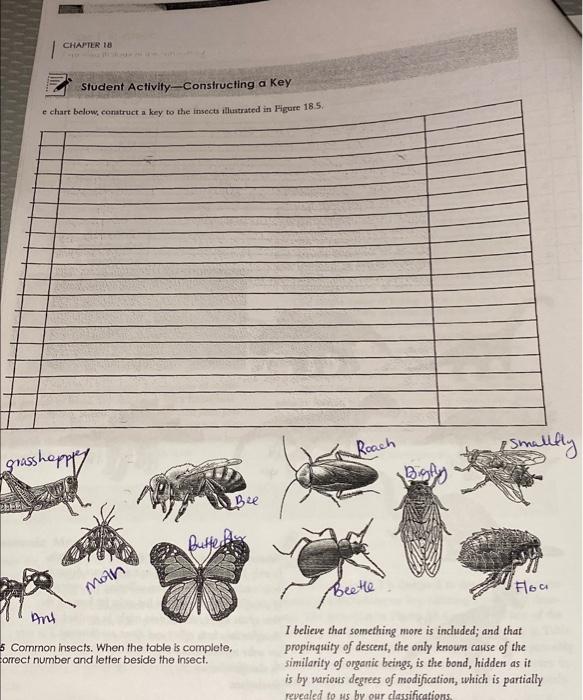 Solved CHAPTER 18 Student Activity-Constructing a key e | Chegg.com