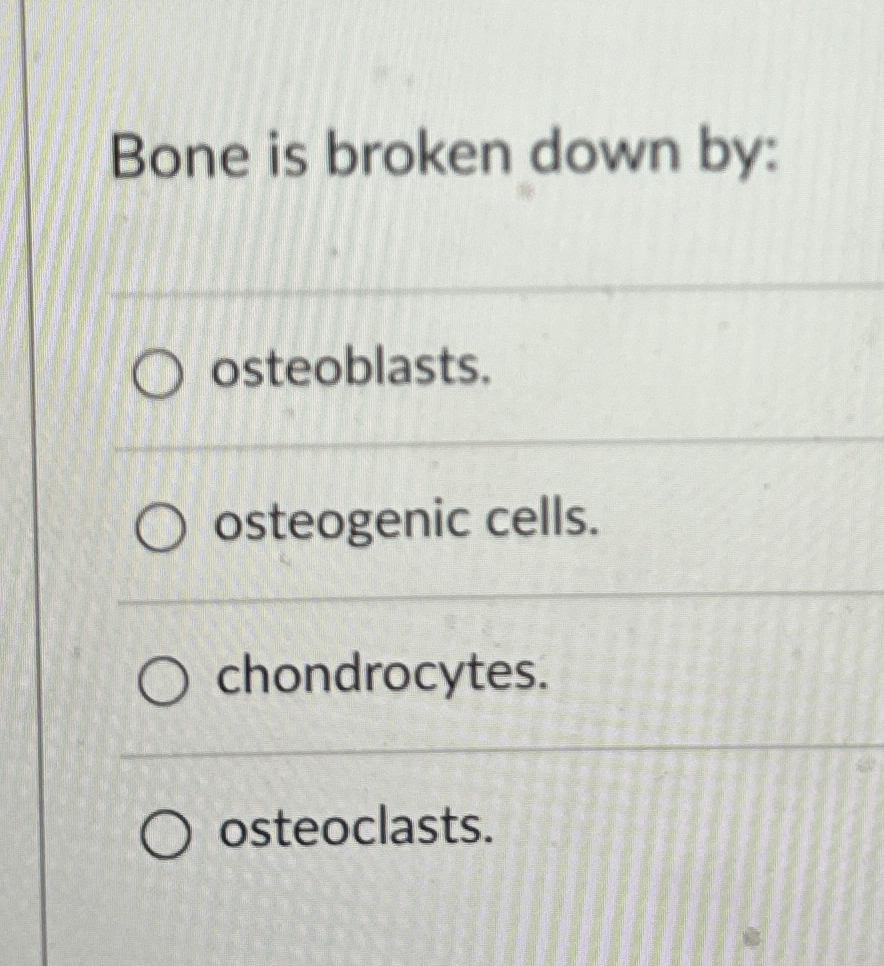Solved Bone is broken down by:osteoblasts.osteogenic | Chegg.com