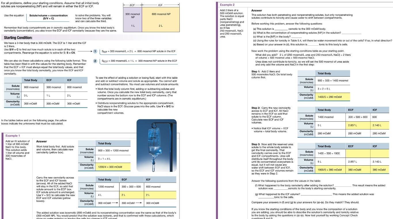 Solved based on the figure below make a question and answer | Chegg.com