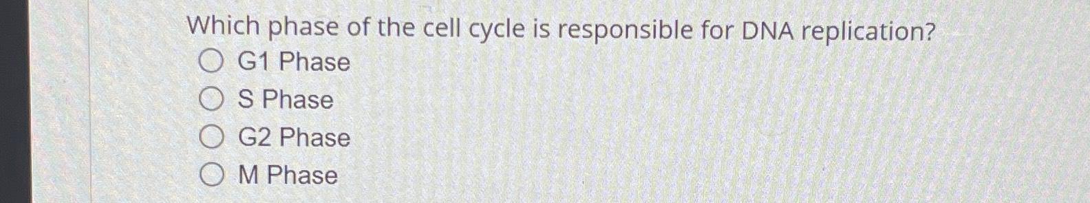 Solved Which phase of the cell cycle is responsible for DNA | Chegg.com