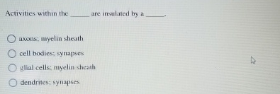 Solved Activities within the are insulated by ataxons: | Chegg.com