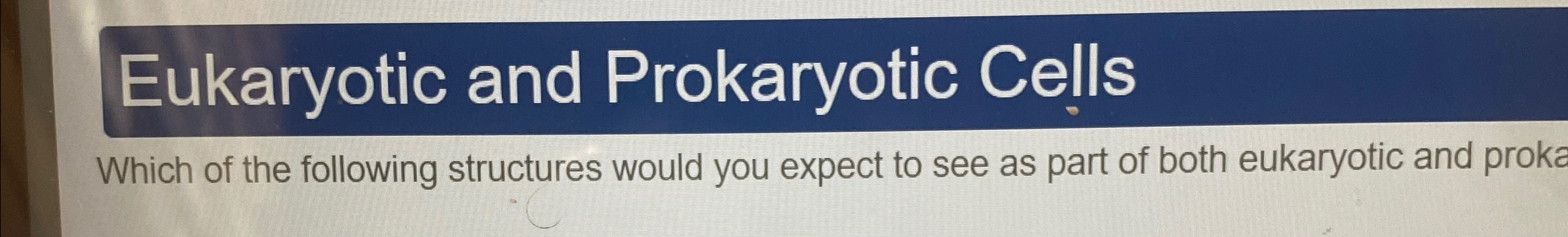 Solved Eukaryotic and Prokaryotic CellsWhich of the | Chegg.com