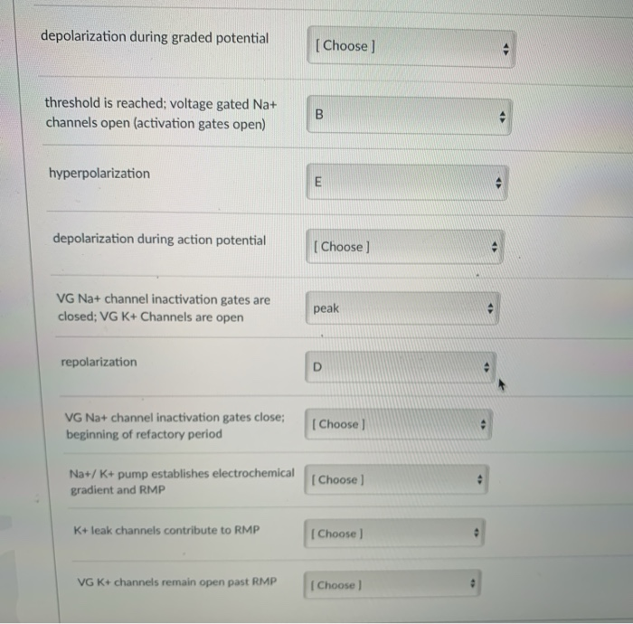 Solved Match the events/ descriptions with the correct area | Chegg.com