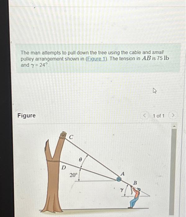 The man attempts to pull down the tree using the | Chegg.com