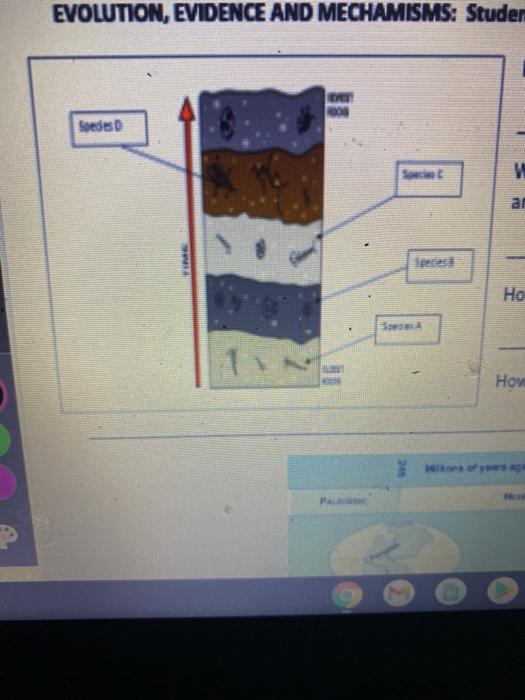 Solved Student Practice Sheet How can evidence of evolution | Chegg.com