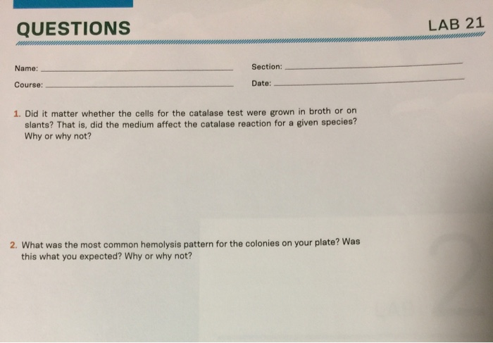 Solved QUESTIONS LAB 21 Name: Section: Course: Date: 1. Did | Chegg.com