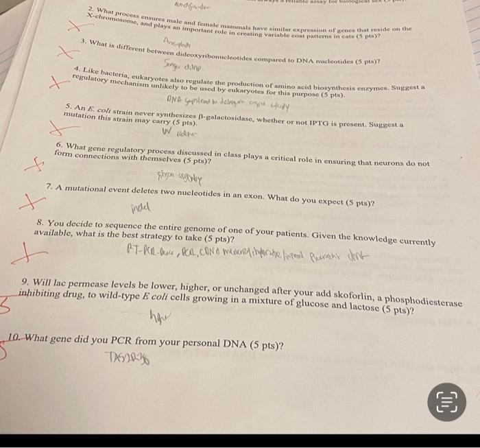 Solved Lab Session (circte): Fisher Pt haw a stero-loop | Chegg.com