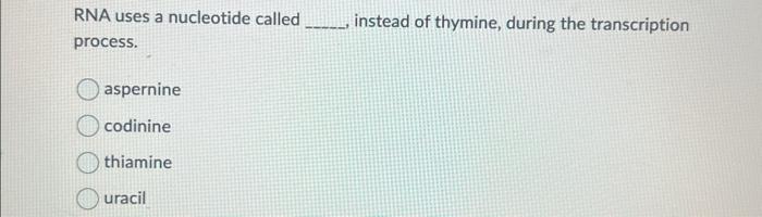 Solved RNA uses a nucleotide called , instead of thymine, | Chegg.com