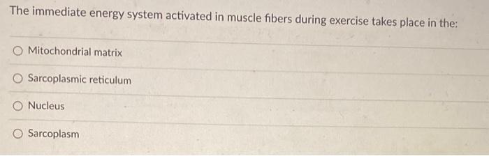 Solved The immediate energy system activated in muscle | Chegg.com