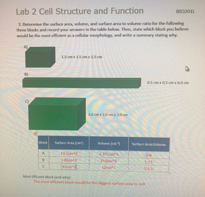 Solved Lab 2 Cell Structure and Function BIO 2011 3. | Chegg.com