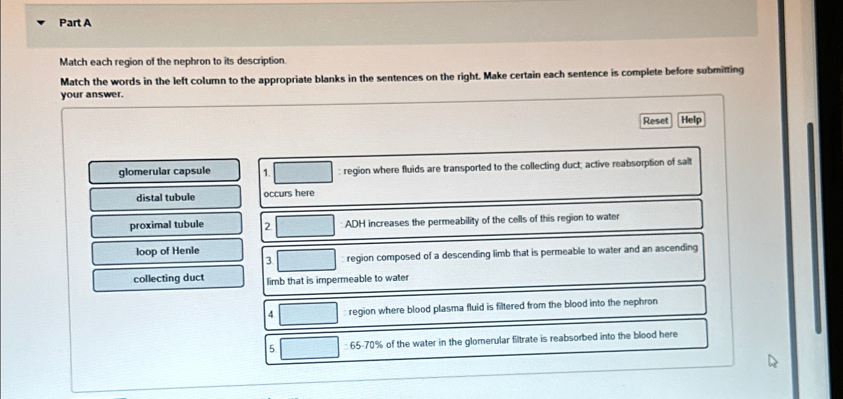 Solved Part AMatch each region of the nephron to its | Chegg.com