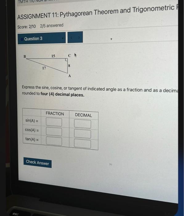 Solved ASSIGNMENT 11: Pythagorean Theorem and Trigonometric | Chegg.com