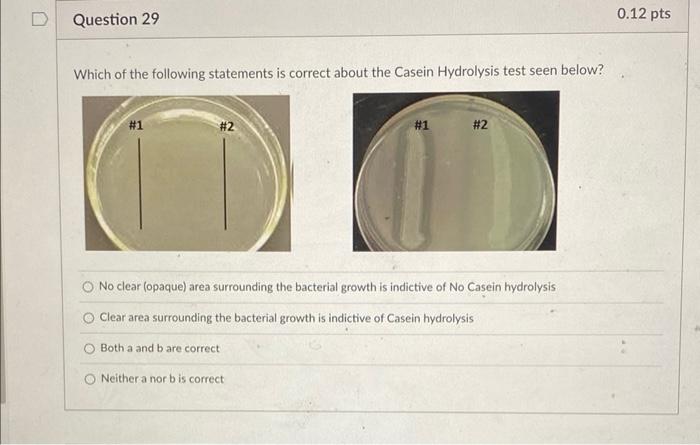 Casein Hydrolysis Test
