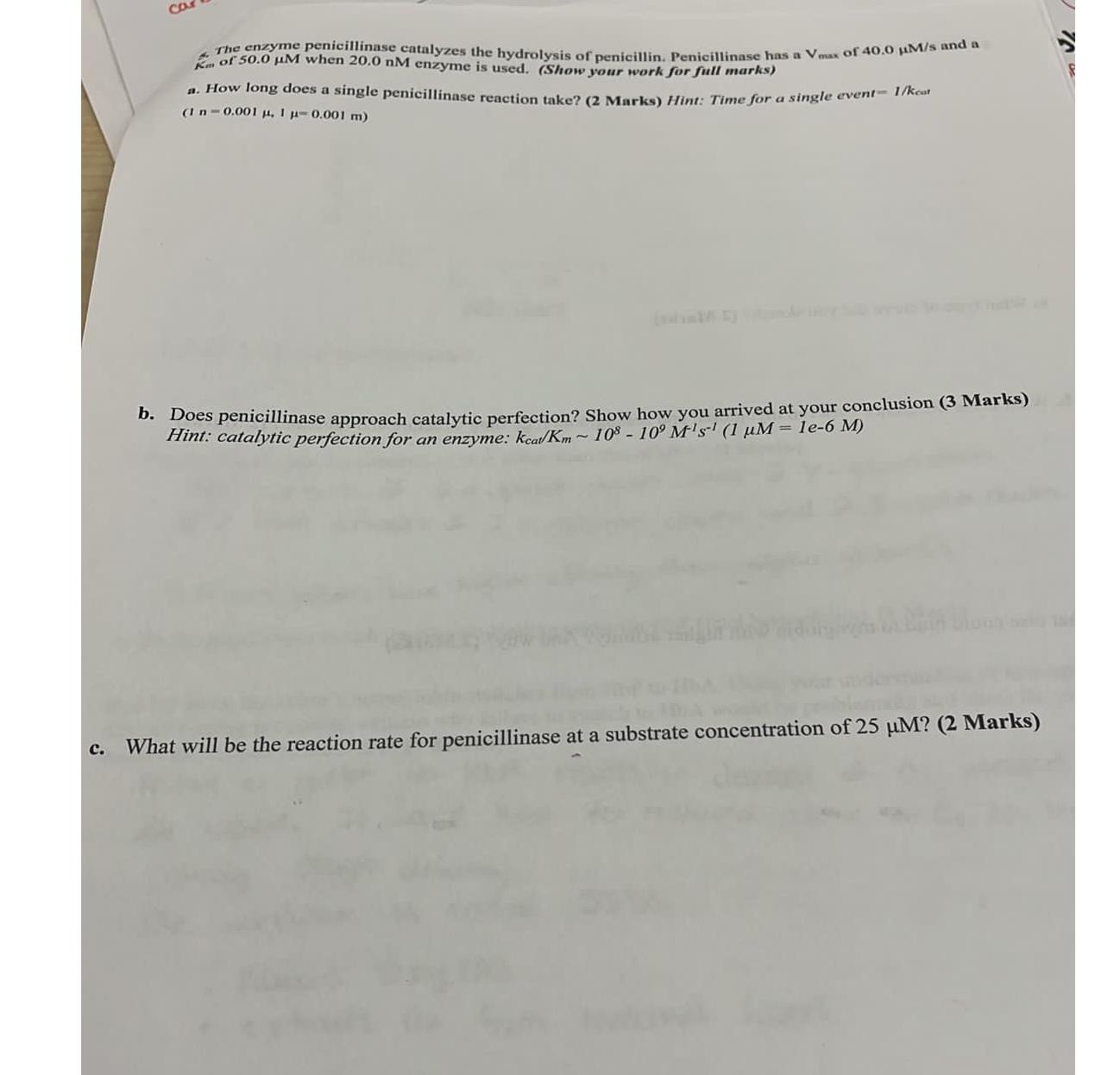 Solved The enzyme penicillinase catalyzes the hydrolysis of | Chegg.com