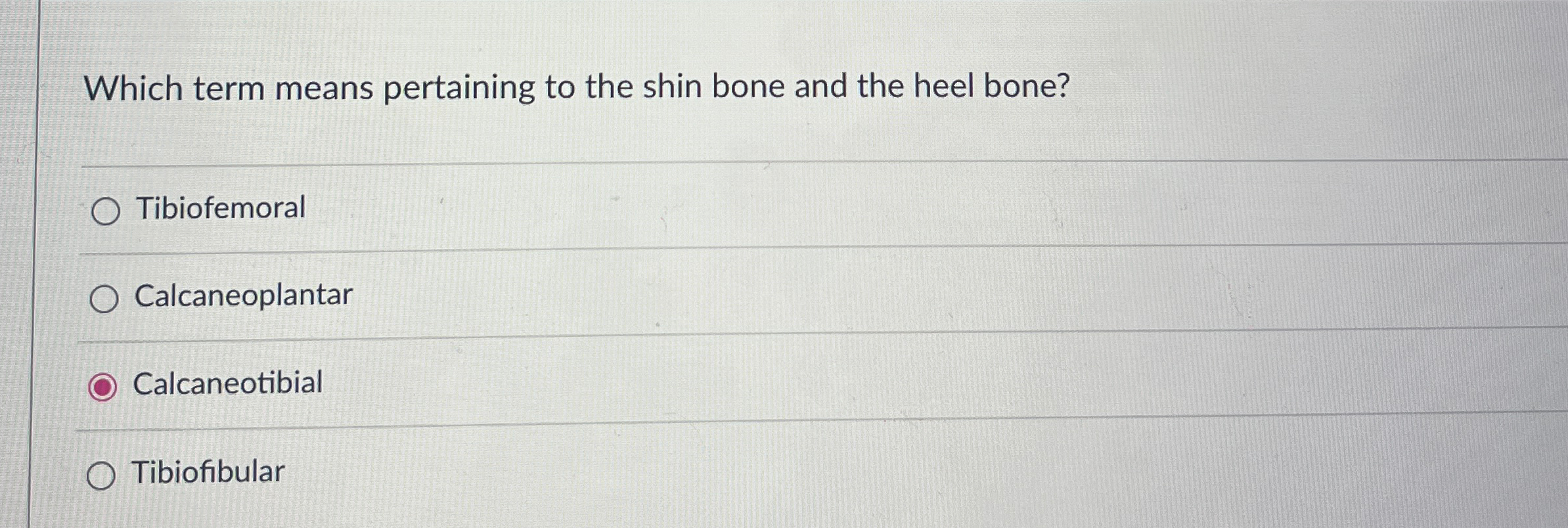 Solved Which term means pertaining to the shin bone and the | Chegg.com