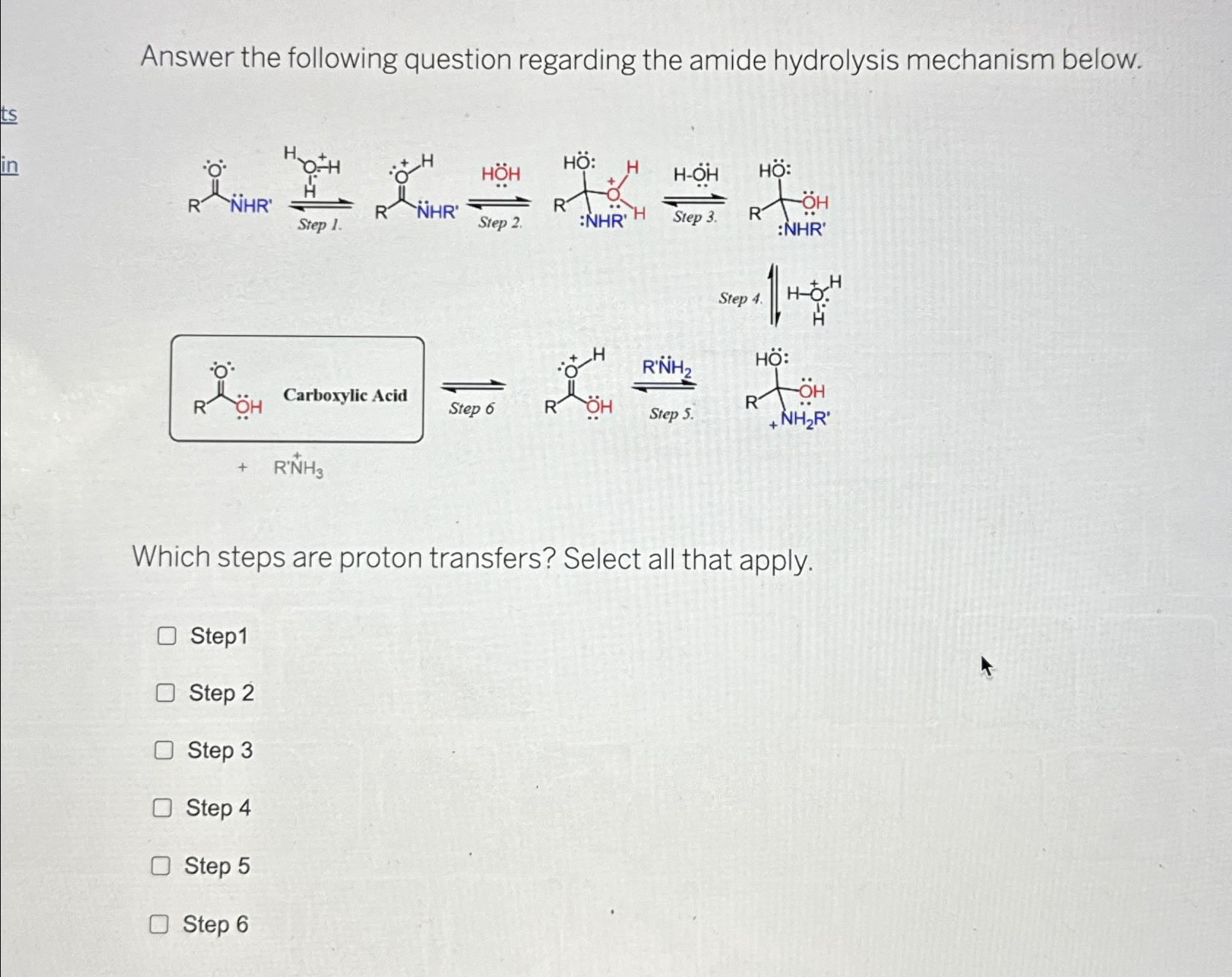 Solved by an EXPERT Answer the following question regarding the amide | Chegg.com