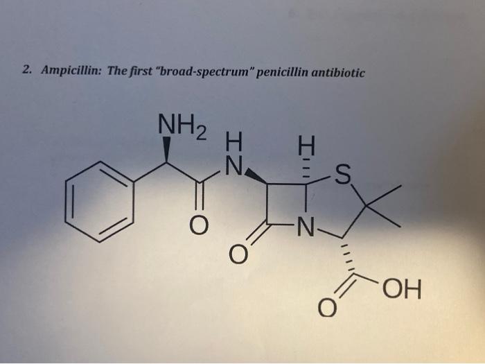 Solved 2. Ampicillin: The first "broad-spectrum" penicillin | Chegg.com
