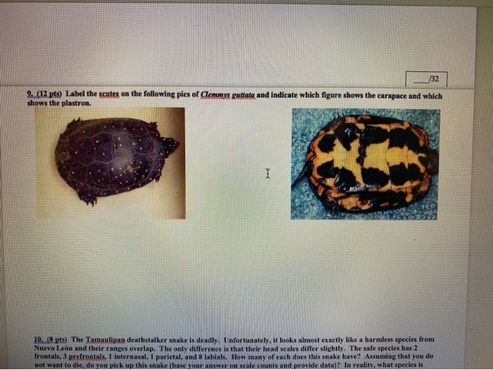 Solved 9. (12 pts) Label the scutes on the following pics of | Chegg.com