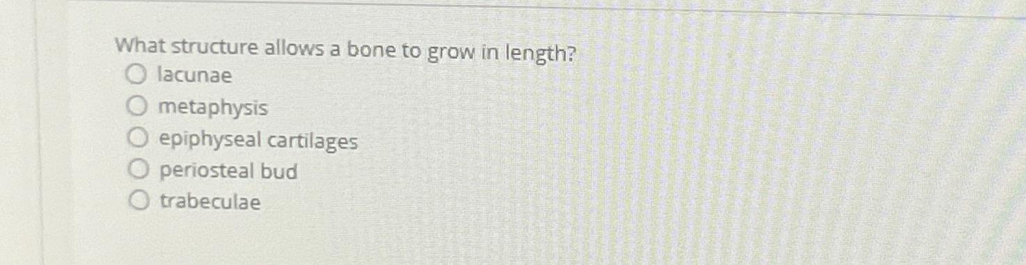 Solved What structure allows a bone to grow in | Chegg.com