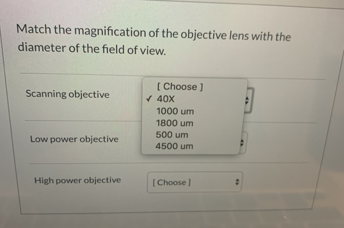 Solved Match the magnification of the objective lens with | Chegg.com