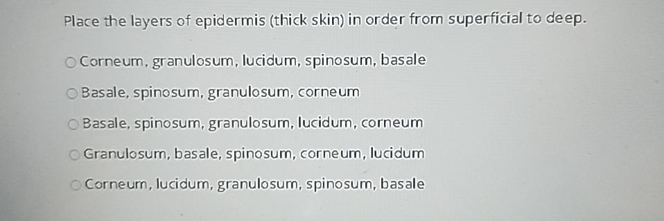Solved Place the layers of epidermis (thick skin) ﻿in order | Chegg.com