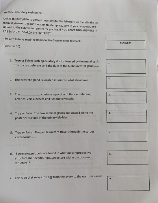 Solved Week 6 Laboratory Assignment Utilize this template to | Chegg.com