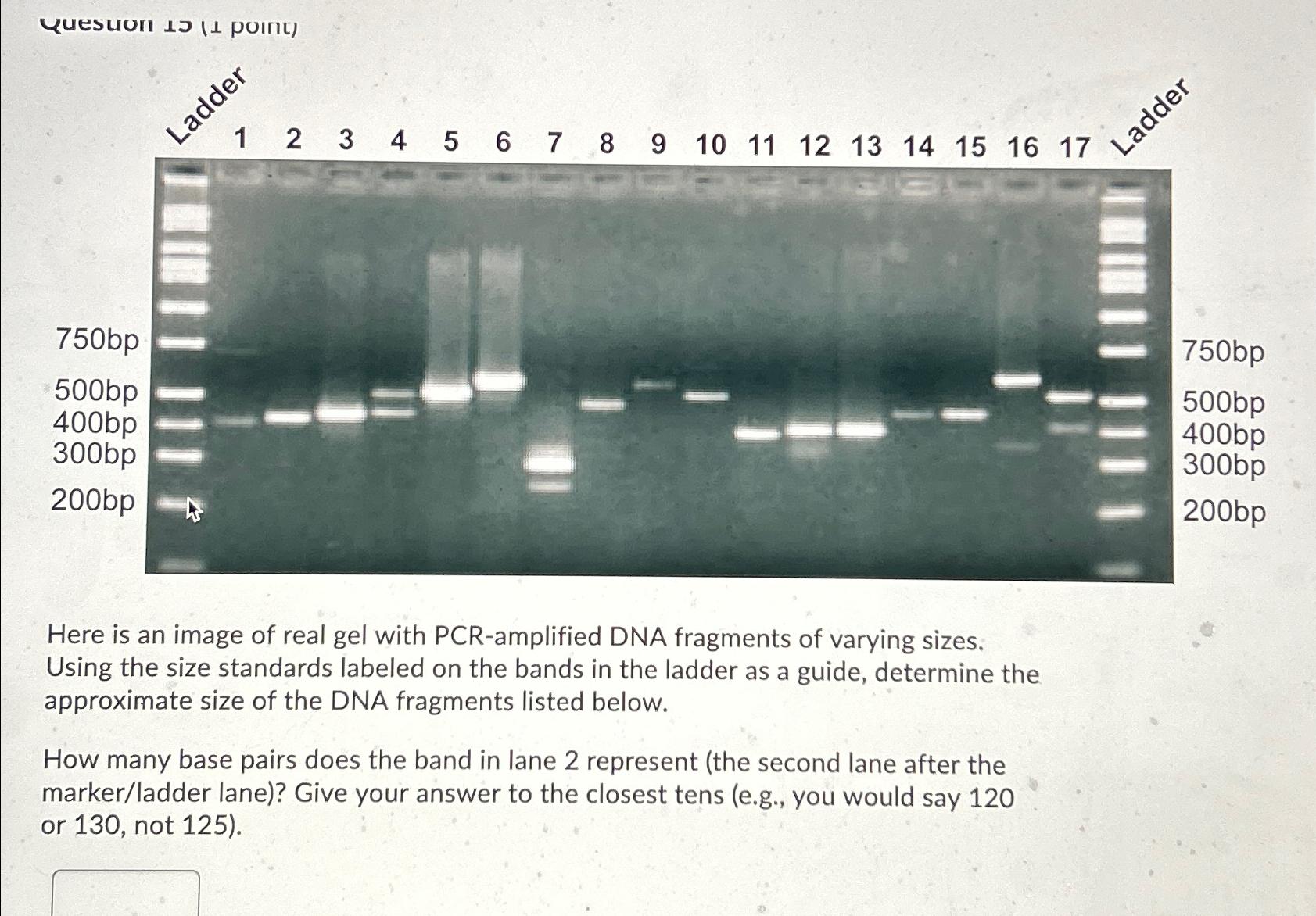 Solved Question |)? ( |)? ﻿point)Here is an image of real | Chegg.com