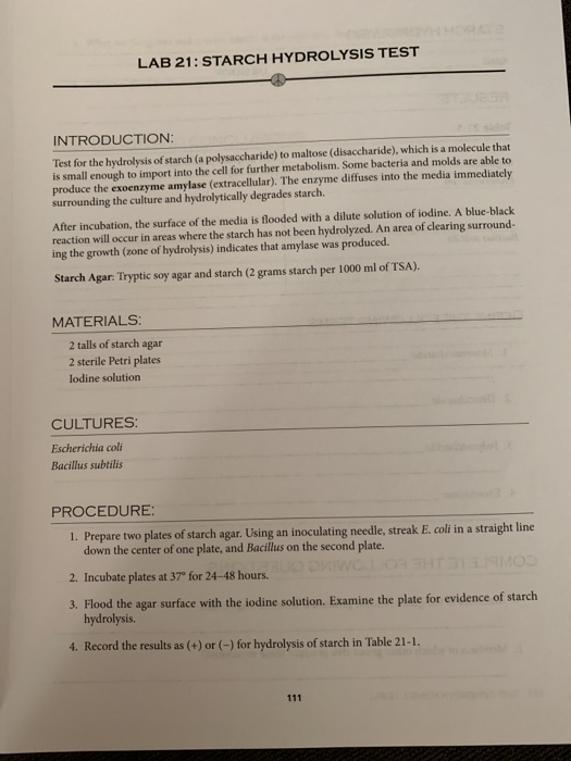 Solved LAB 21: STARCH HYDROLYSIS TEST INTRODUCTION: Test for | Chegg.com