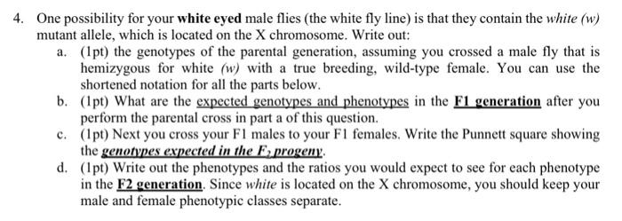 Solved 4. One possibility for your white eyed male flies | Chegg.com