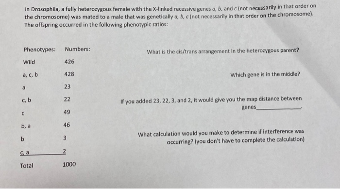 Solved In Drosophila, a fully heterozygous female with the | Chegg.com