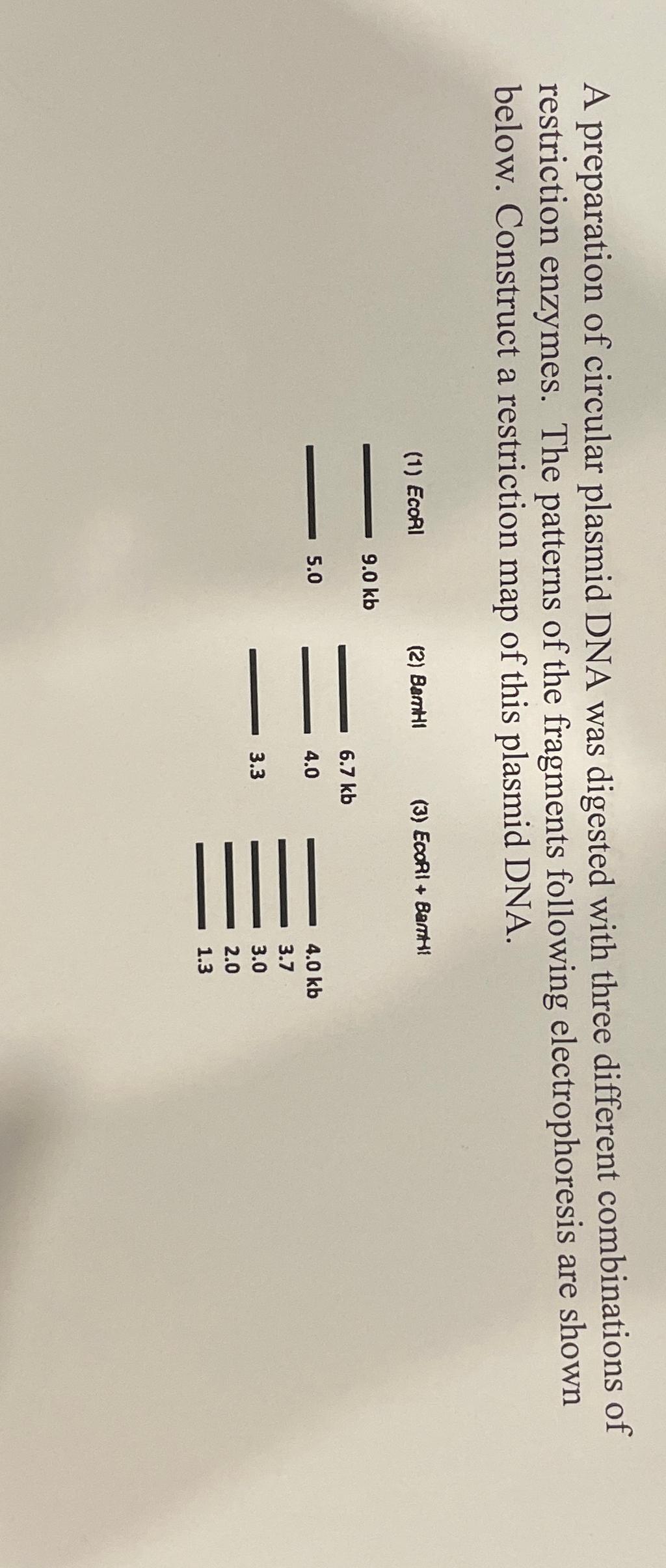 Solved A preparation of circular plasmid DNA was digested | Chegg.com