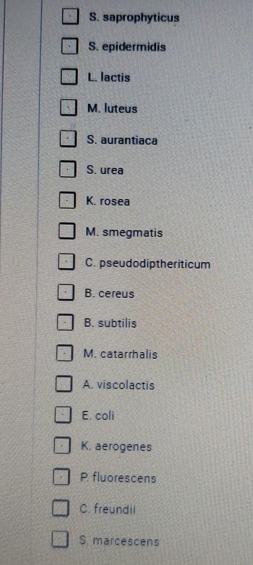 Solved in microbiology, create a dichotomous key using | Chegg.com
