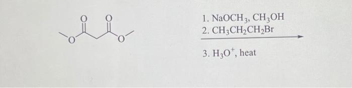 Solved 1. NaOCH3,CH 2. CH3CH2CH2 3. H3O+, heat | Chegg.com