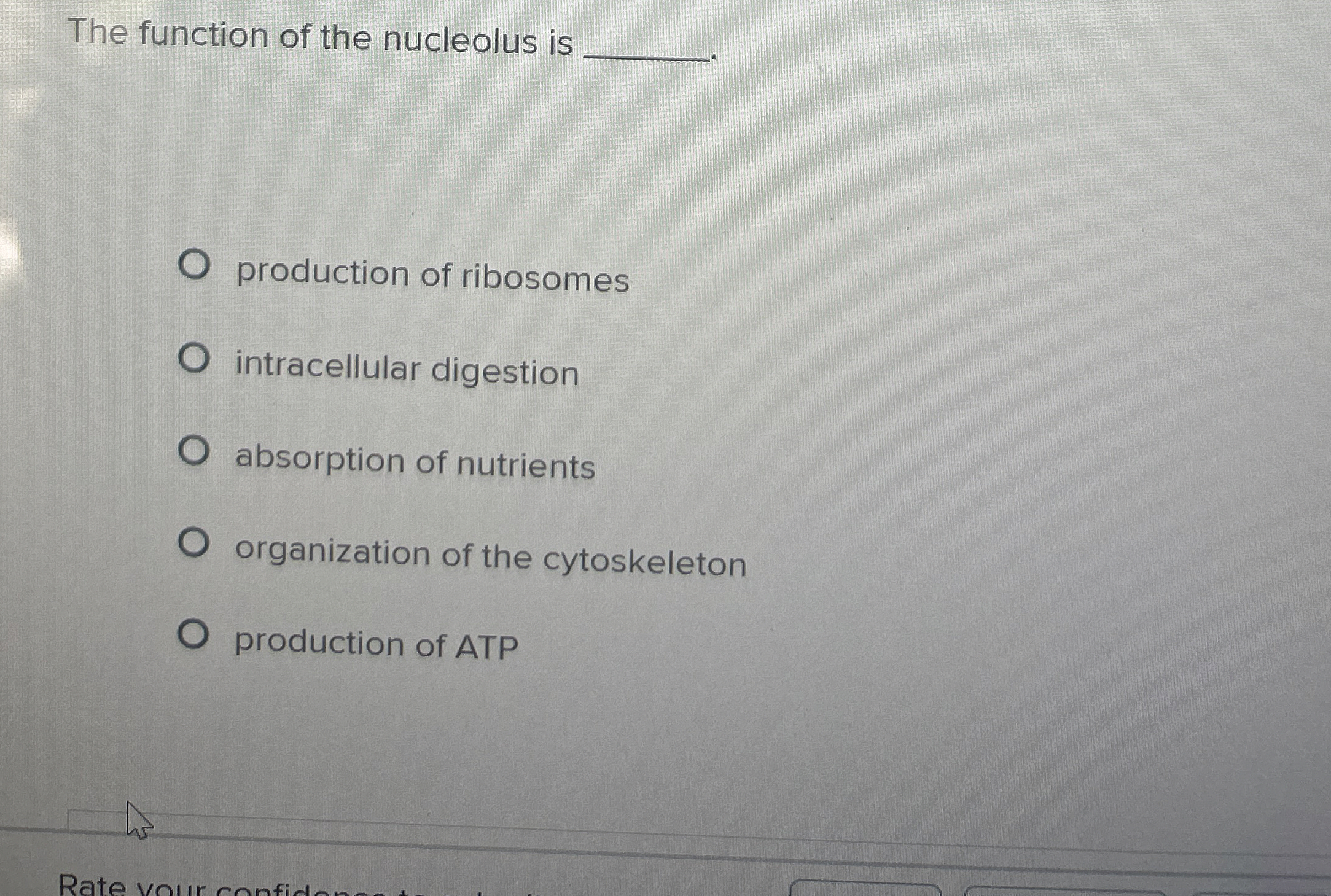 Solved The function of the nucleolus isproduction of | Chegg.com