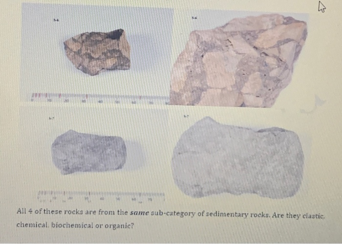 Solved Part 2 Sedimentary Rocks Examine the photographs of | Chegg.com