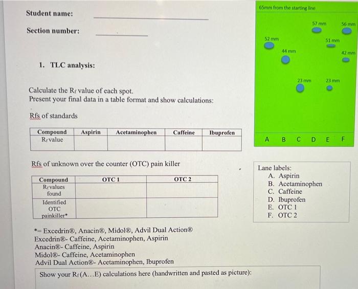 Solved Student name: Section number: 1. TLC analysis: | Chegg.com