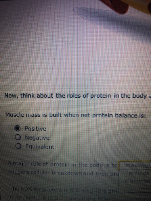 Solved Now, think about the roles of protein in the body a | Chegg.com