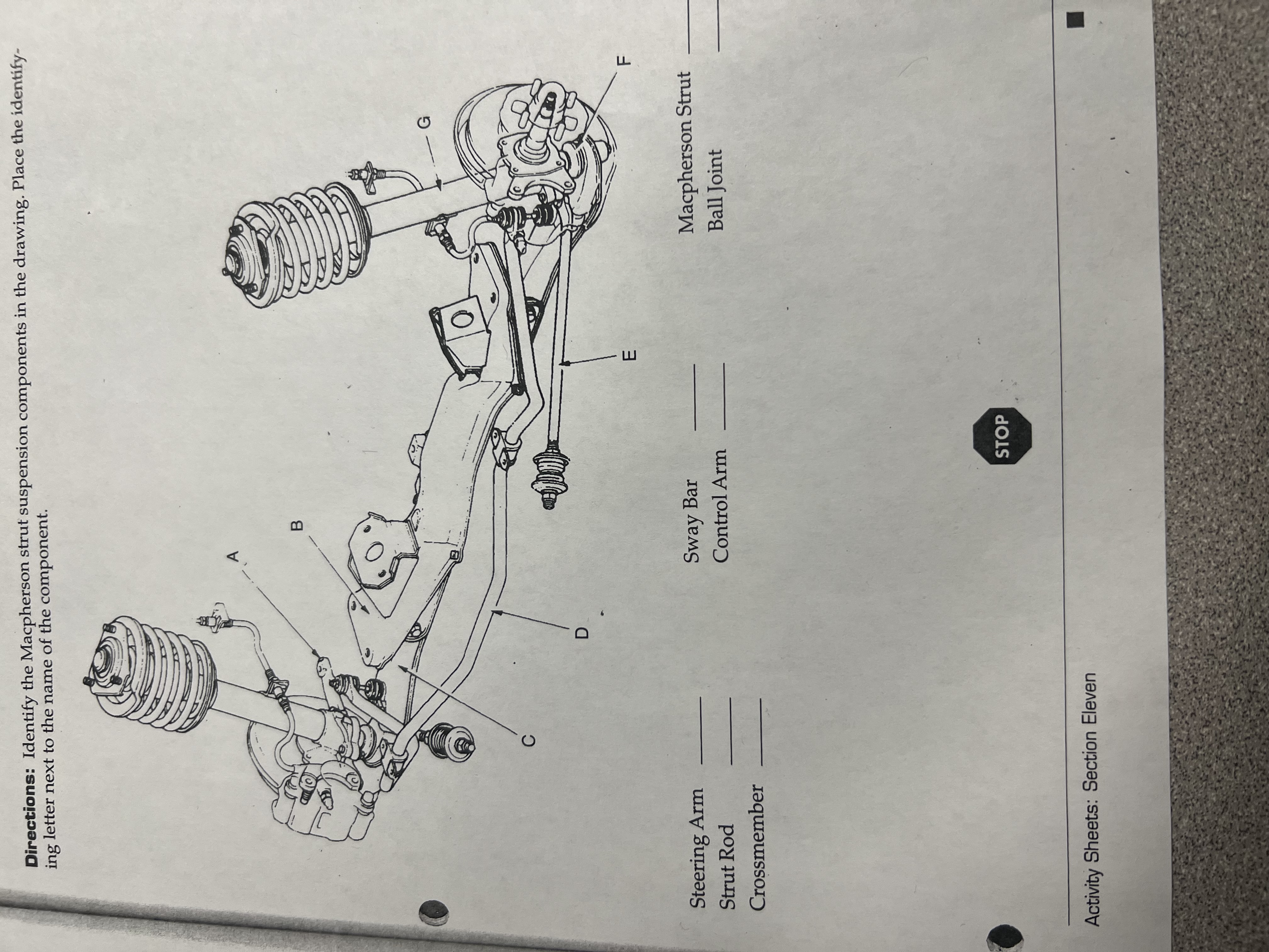 Solved Directions: Identify the Macpherson strut suspension | Chegg.com