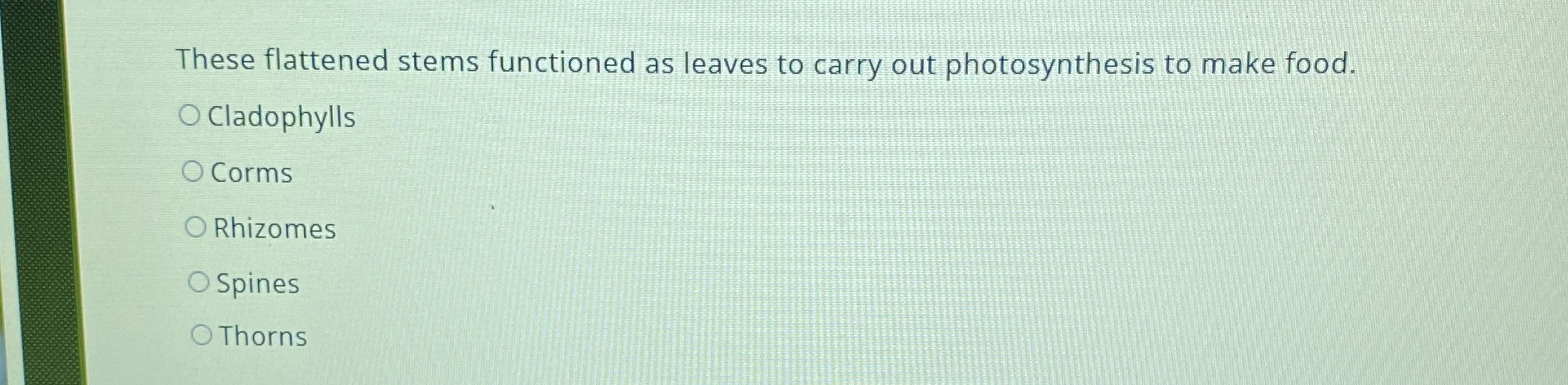 Solved These flattened stems functioned as leaves to carry | Chegg.com