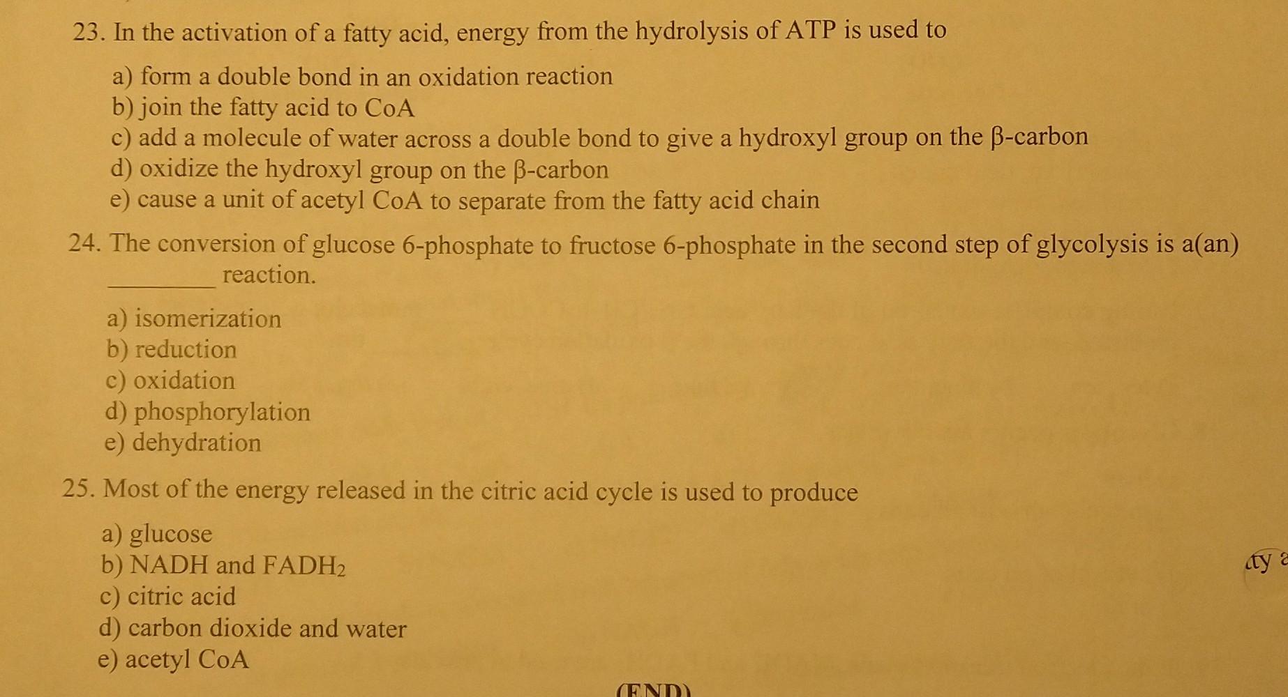 Solved 23. In the activation of a fatty acid, energy from | Chegg.com