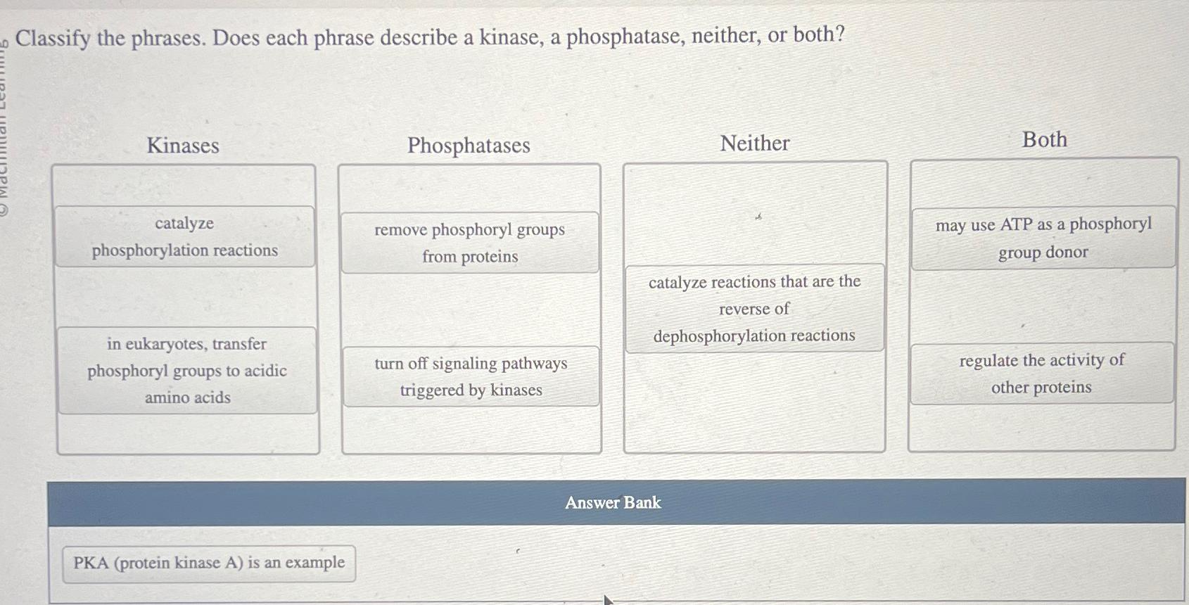 Solved Classify the phrases. Does each phrase describe a | Chegg.com