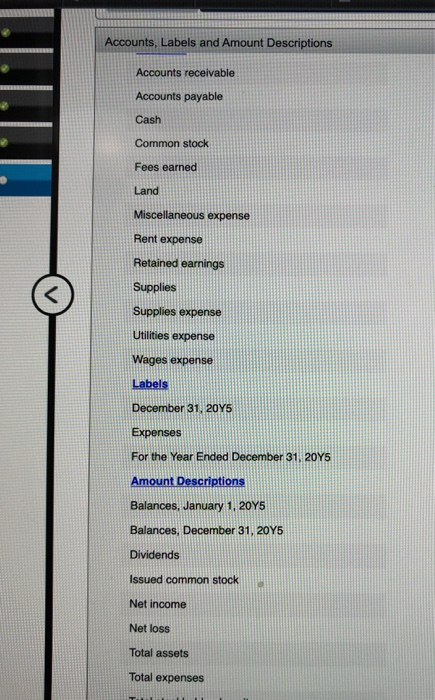 Solved Instructions Accounts, Labels and Amount Descriptions | Chegg.com