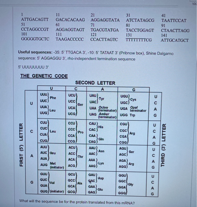 Solved 100 ATTGACAGTT 51 CCTAGGCCGT 101 GGGGGTGCTC 11 | Chegg.com