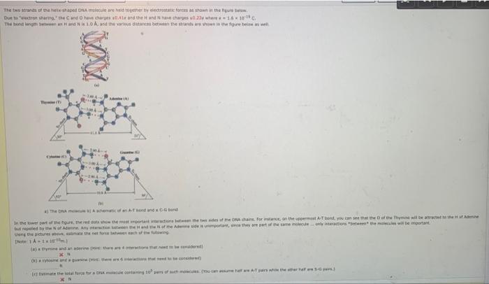 Solved a) The DNA molecule b) A schematic of an A-T bond and | Chegg.com