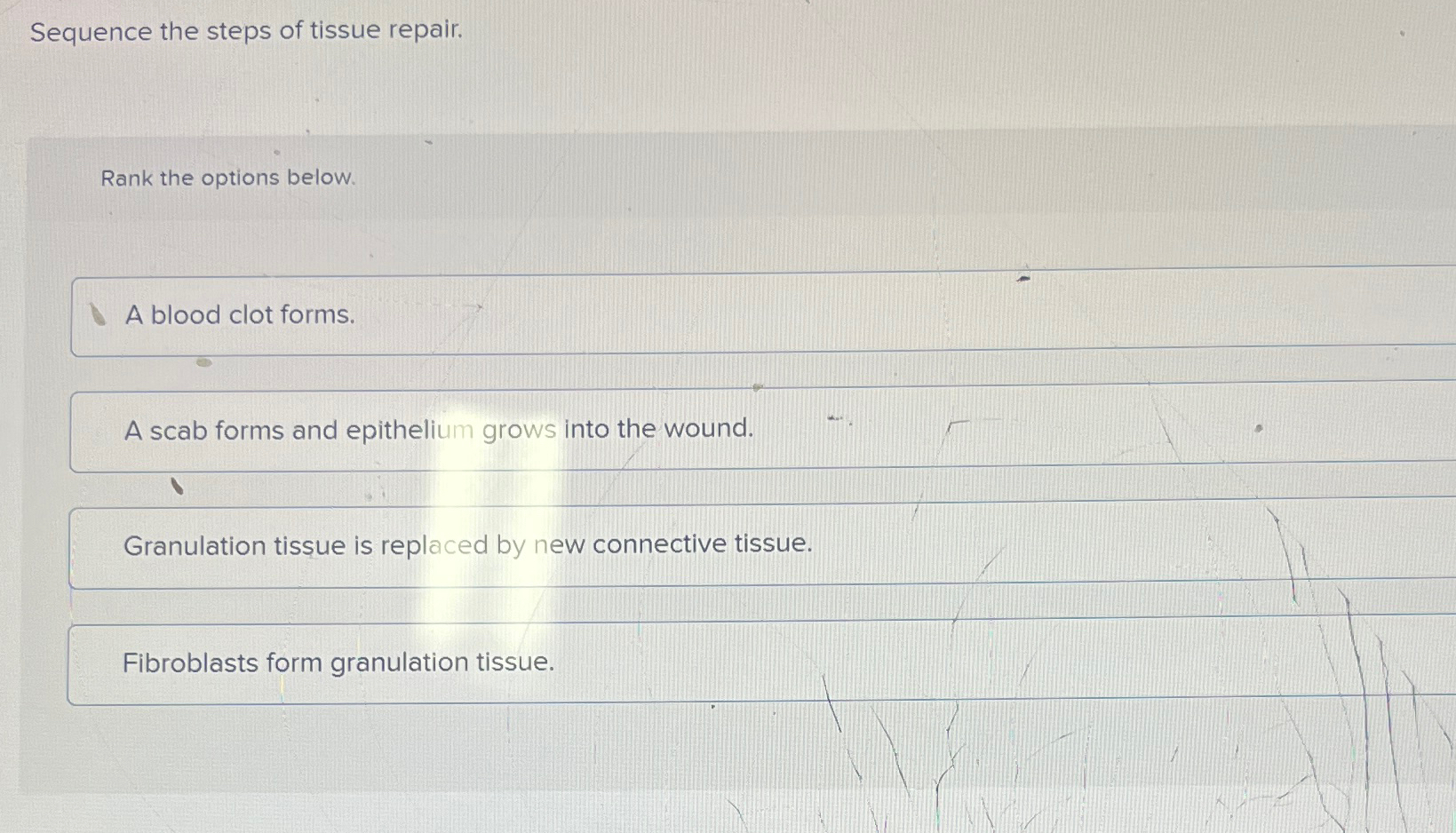 Solved Sequence the steps of tissue repair.Rank the options | Chegg.com Solved Sequence the steps of tissue repair.Rank the options | Chegg.com