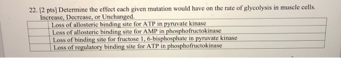 Solved 22. [2 pts) Determine the effect each given mutation | Chegg.com